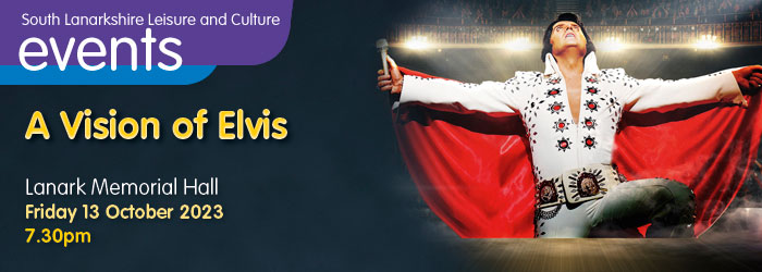 A Vision of Elvis - sllc